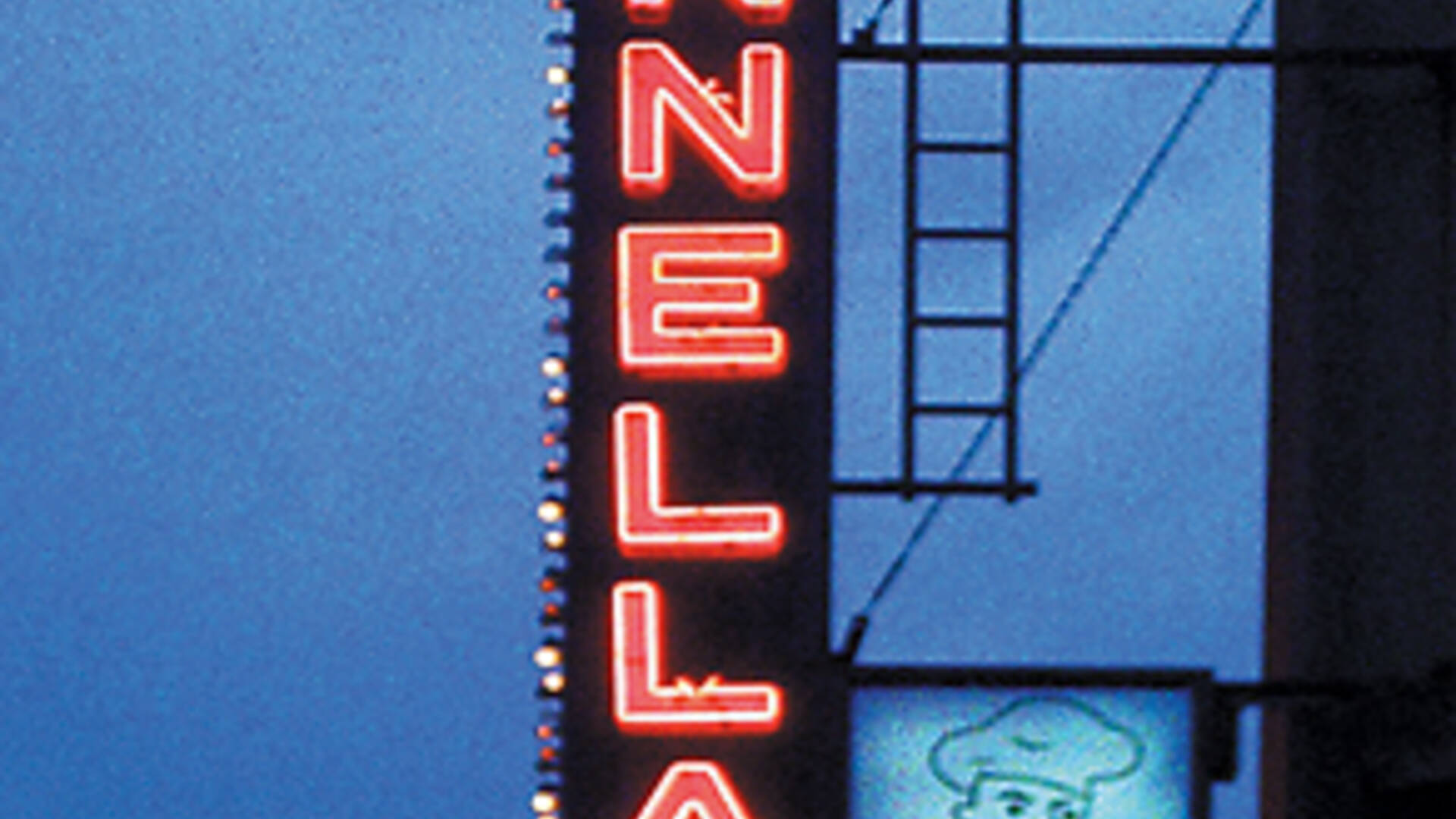 Chicagoland's amazing neon signs