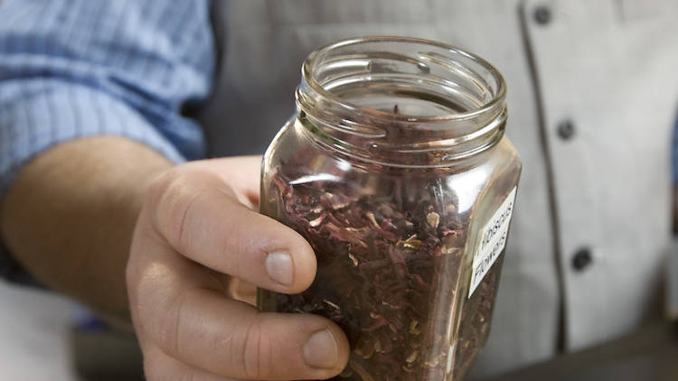 Ira Koplowitz and Nick Kosevich discuss bittering agents