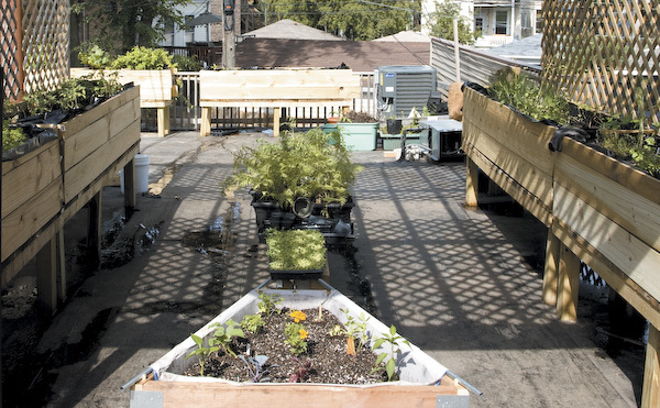 Six restaurants with rooftop gardens