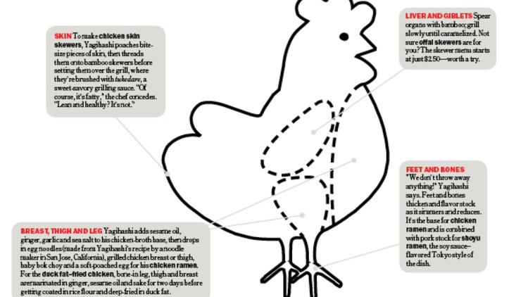 Slurping Turtle preview