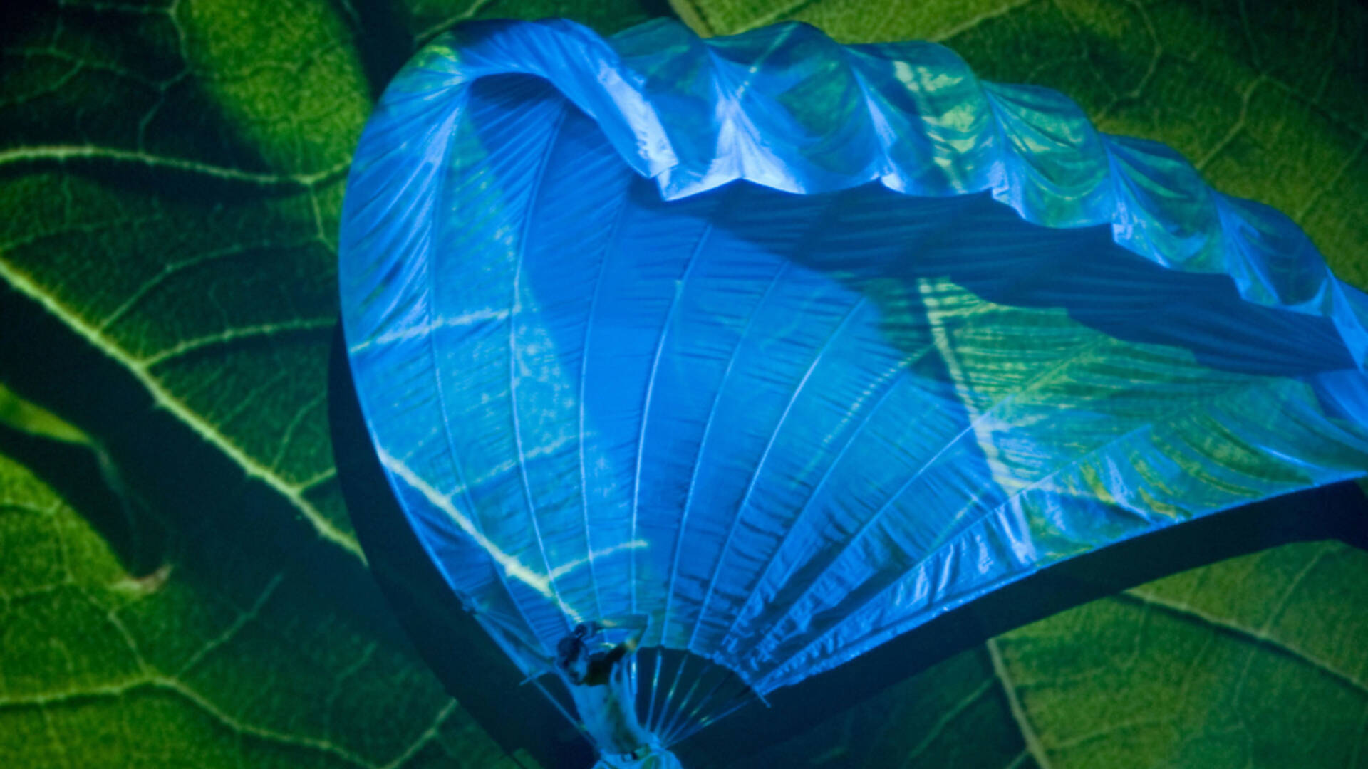 Interview | Moses Pendleton