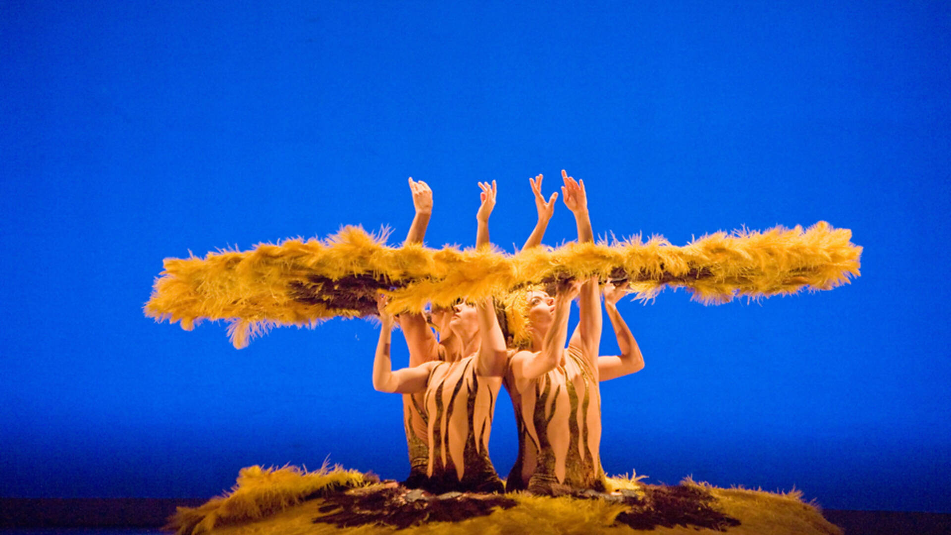 Interview | Moses Pendleton