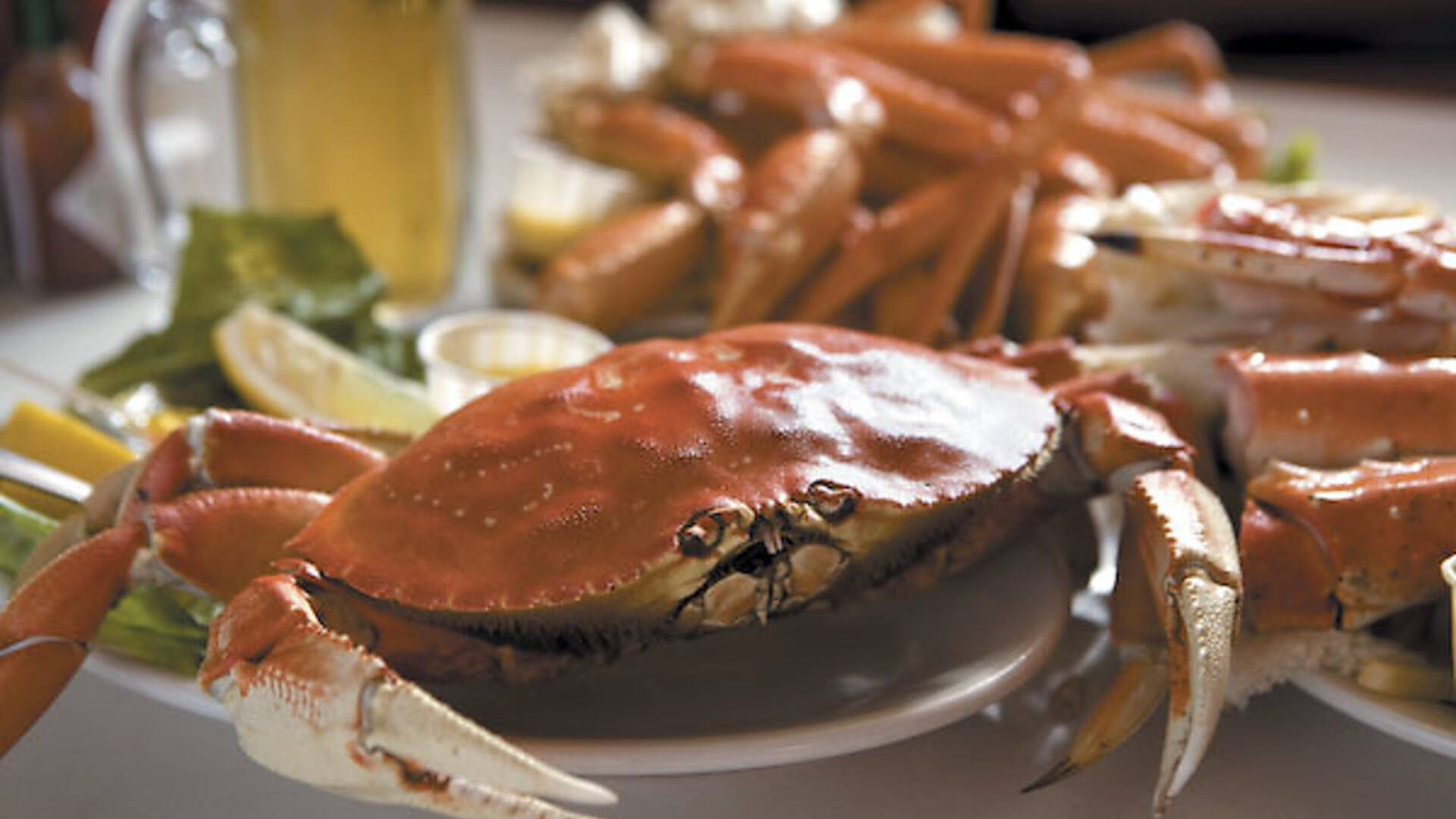 27 Best Seafood Restaurants in Chicago, According to Food Editors