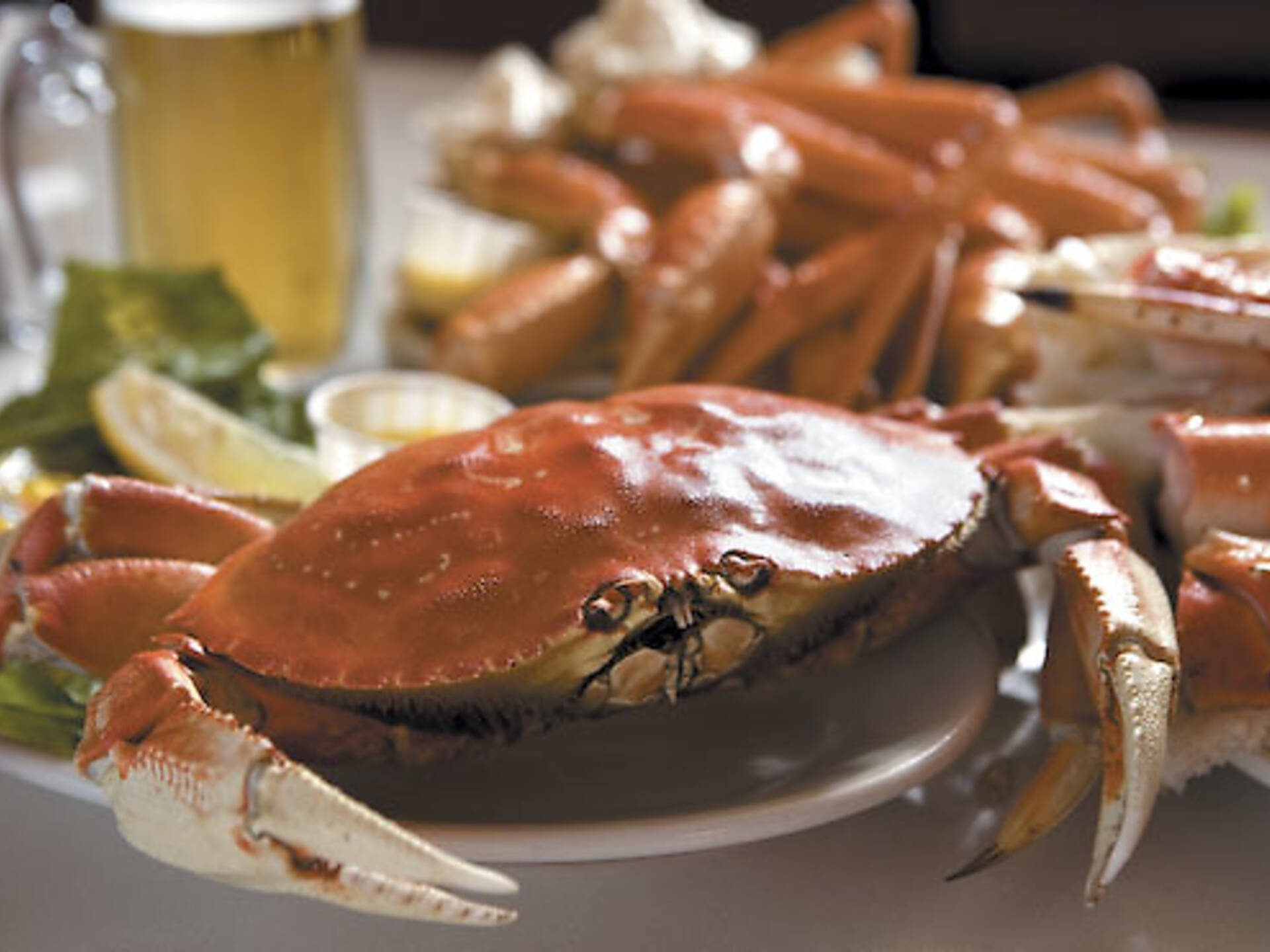 27 Best Seafood Restaurants in Chicago, According to Food Editors