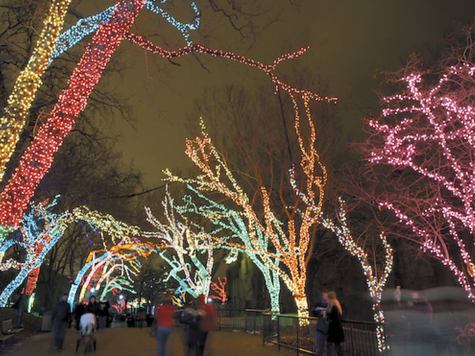 Chicago festivals in December: food, lights and winter fun