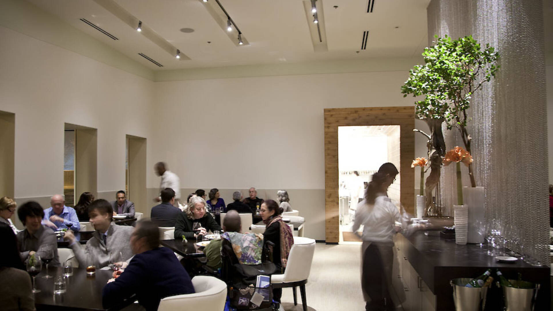 Acadia | Restaurants in Near South Side, Chicago