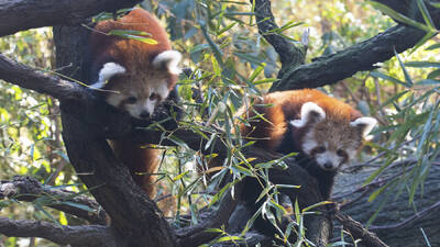 The Top 10 Things to do in New York with Family