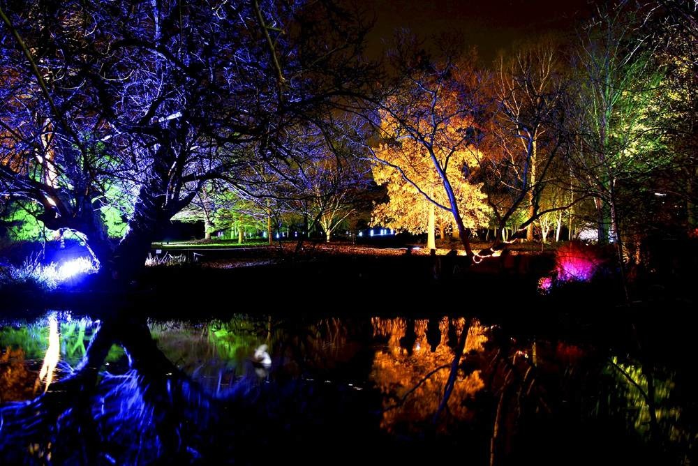 Syon Park’s Enchanted Woodland | Things to do in London