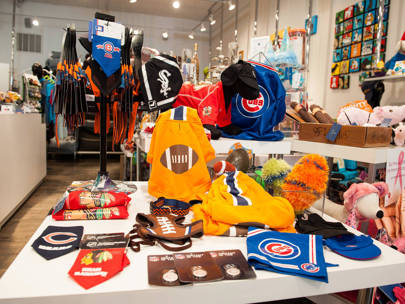 Pet stores in Chicago for dog leashes, cat collars and more