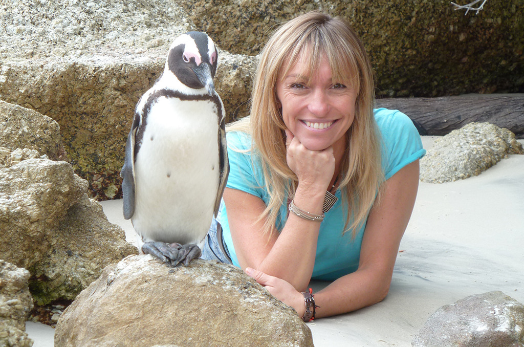 The Great Penguin Rescue review - Time Out London