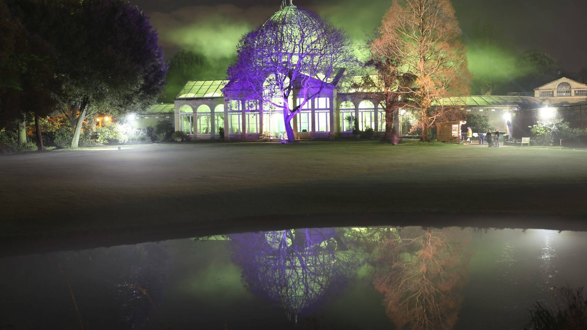 Syon Park’s Enchanted Woodland | Things to do in London