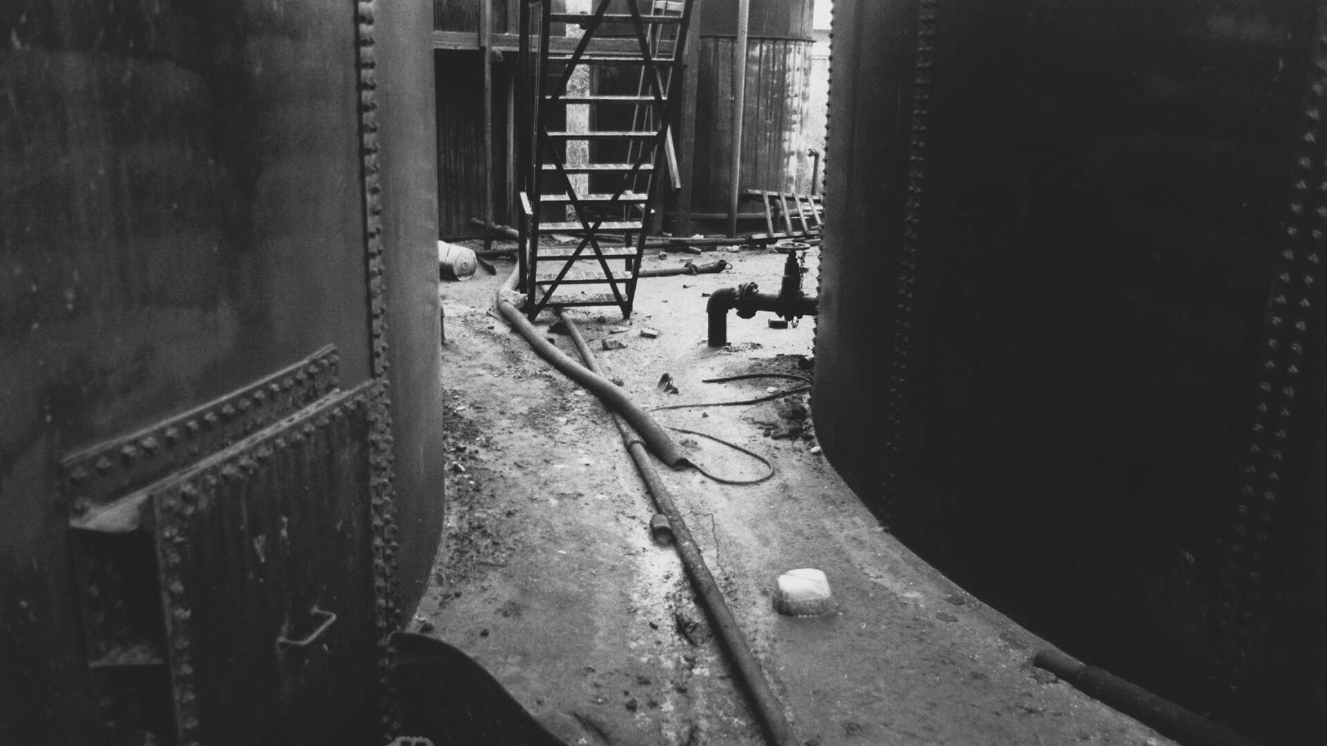 David Lynch Interview - Art - Time Out London