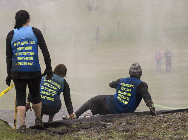 The bizarre allure of obstacle races