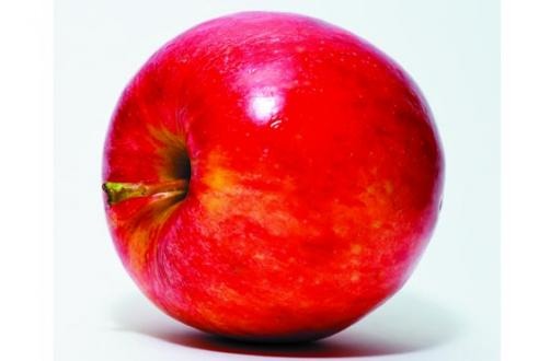 Apple picking in Chicagoland