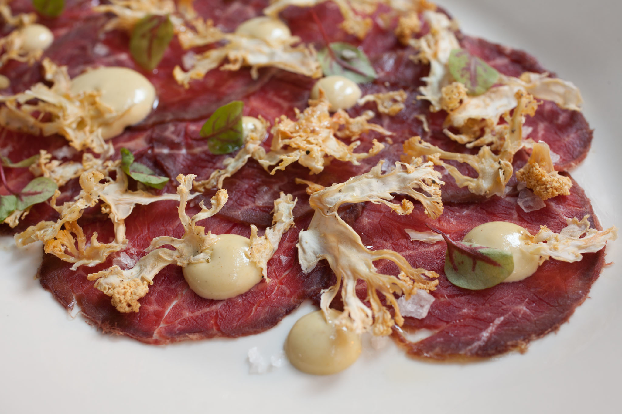 Preview: Cicchetti opens today