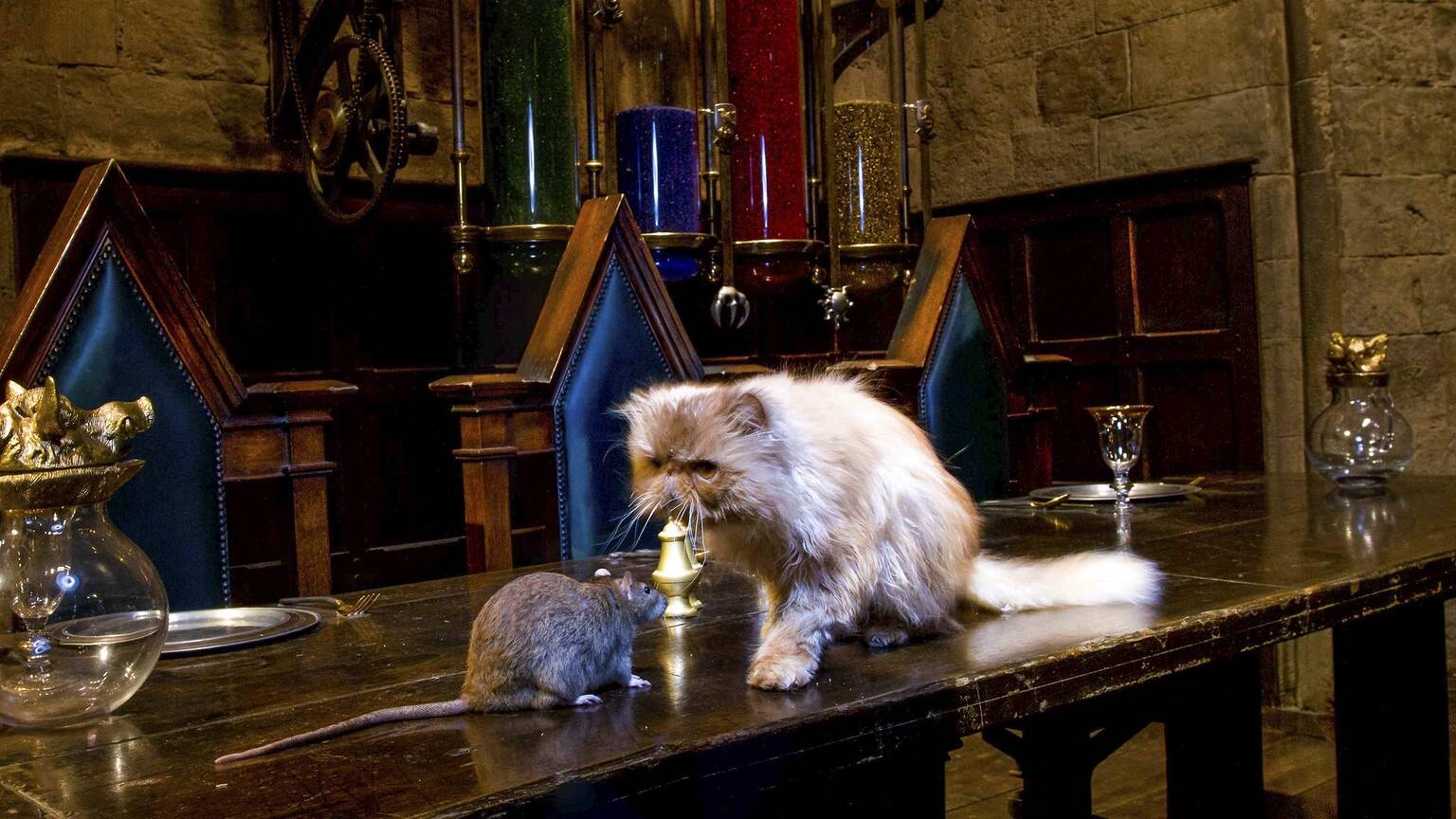 Animal Week at the Warner Bros Studio Tour - The Making of Harry Potter ...