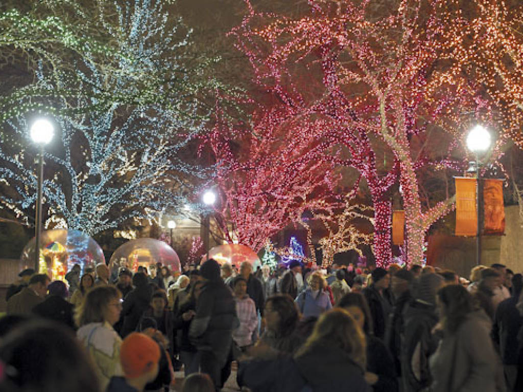 Chicago festivals in December: food, lights and winter fun