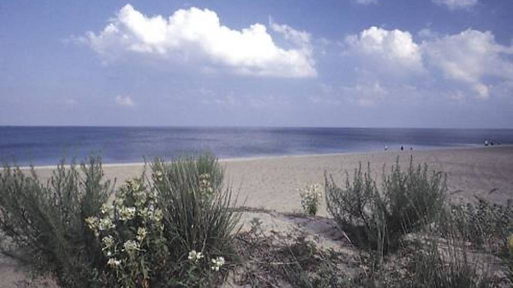 Training day | Union Pacific North line