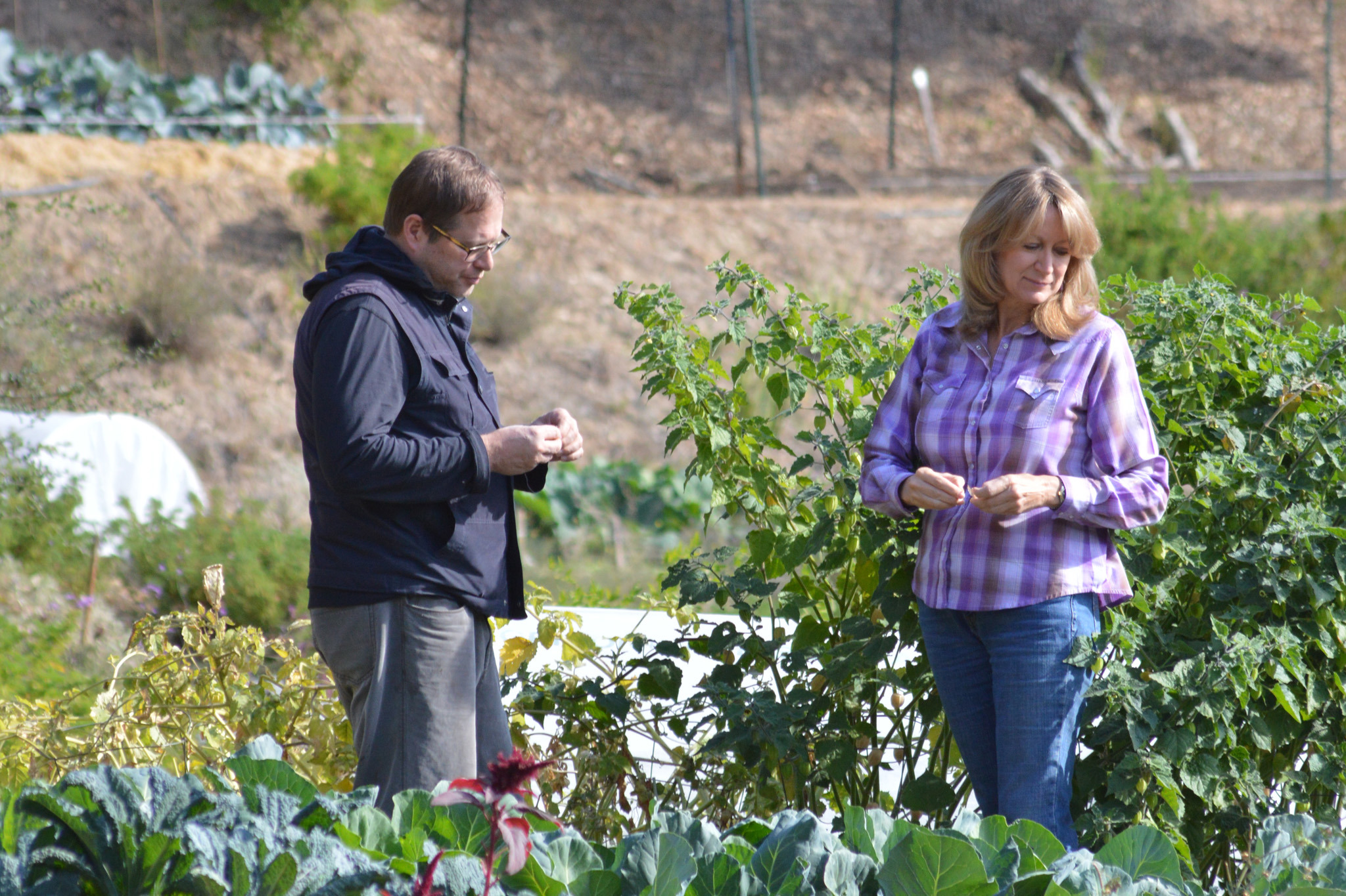 Best new food documentaries: Culinary movies to check out
