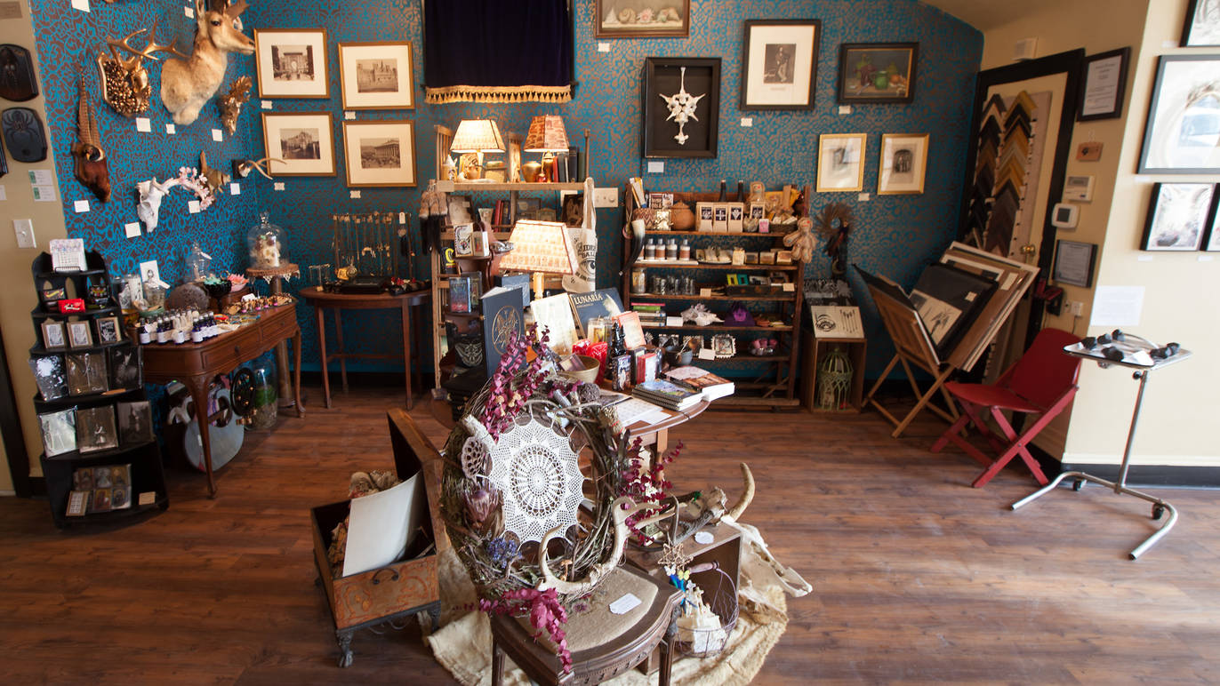 Sideshow Gallery | Shopping in Bucktown, Chicago