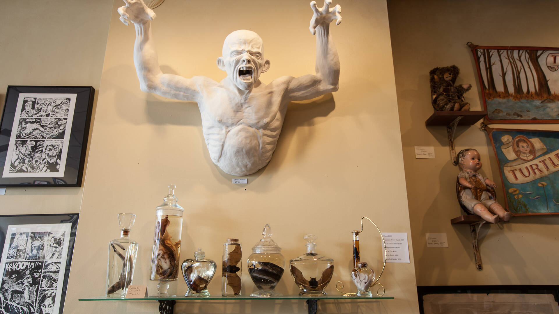 Sideshow Gallery | Shopping in Bucktown, Chicago