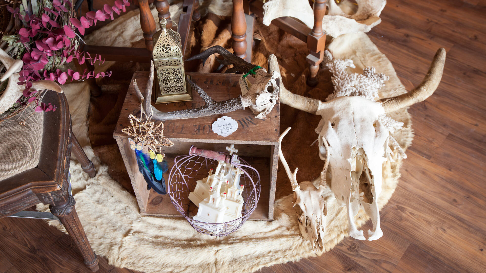 Sideshow Gallery | Shopping in Bucktown, Chicago