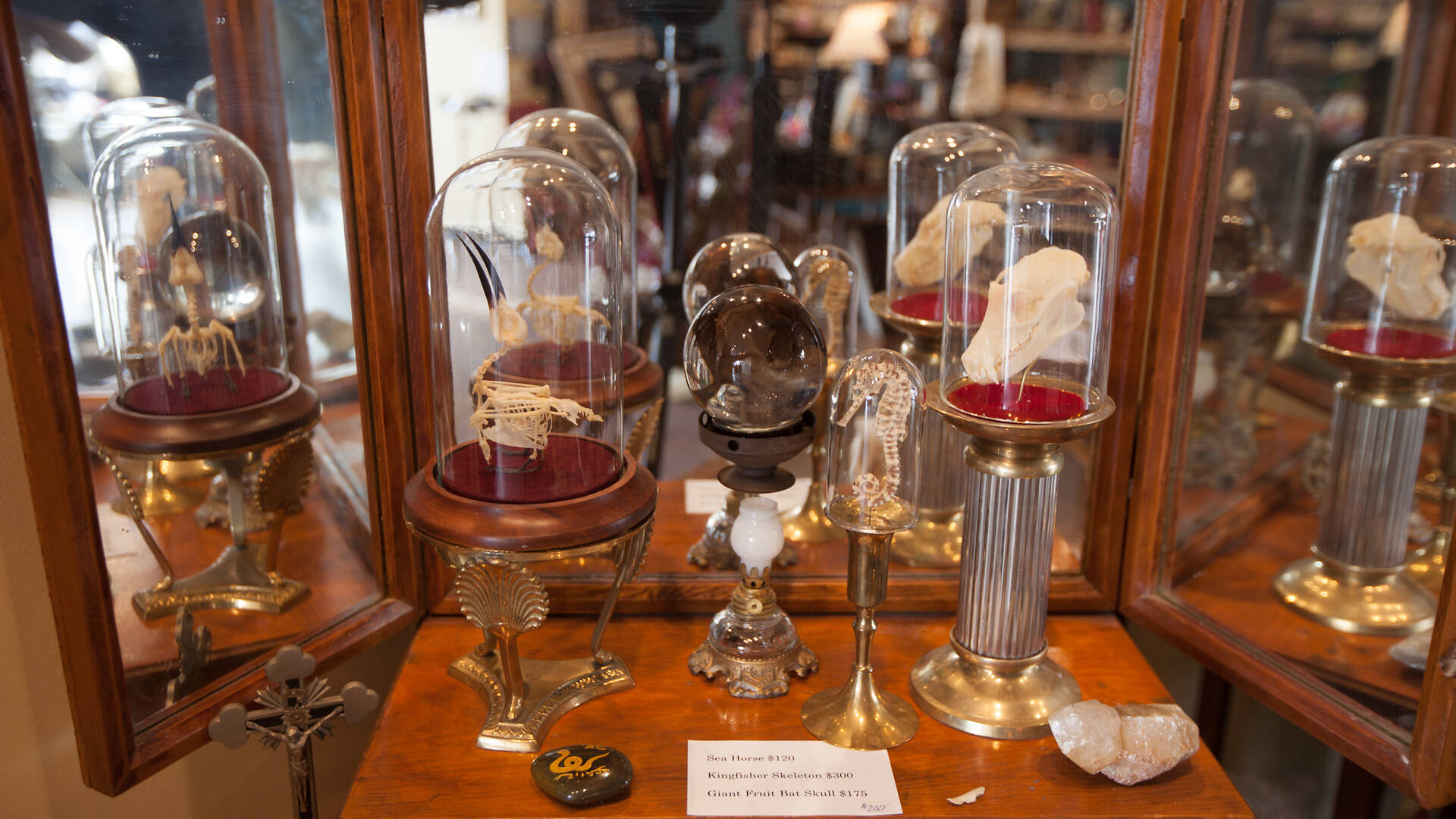 Sideshow Gallery | Shopping in Bucktown, Chicago