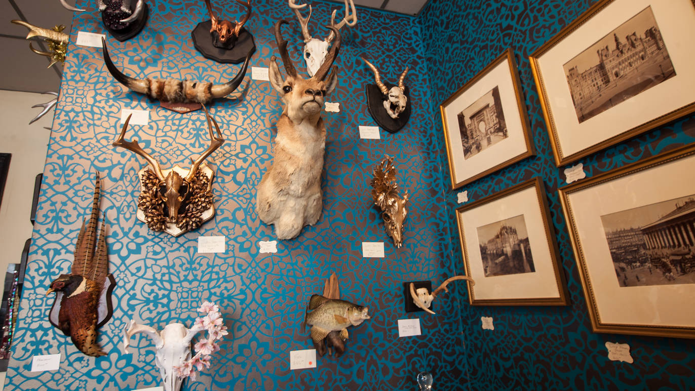 Sideshow Gallery | Shopping in Bucktown, Chicago