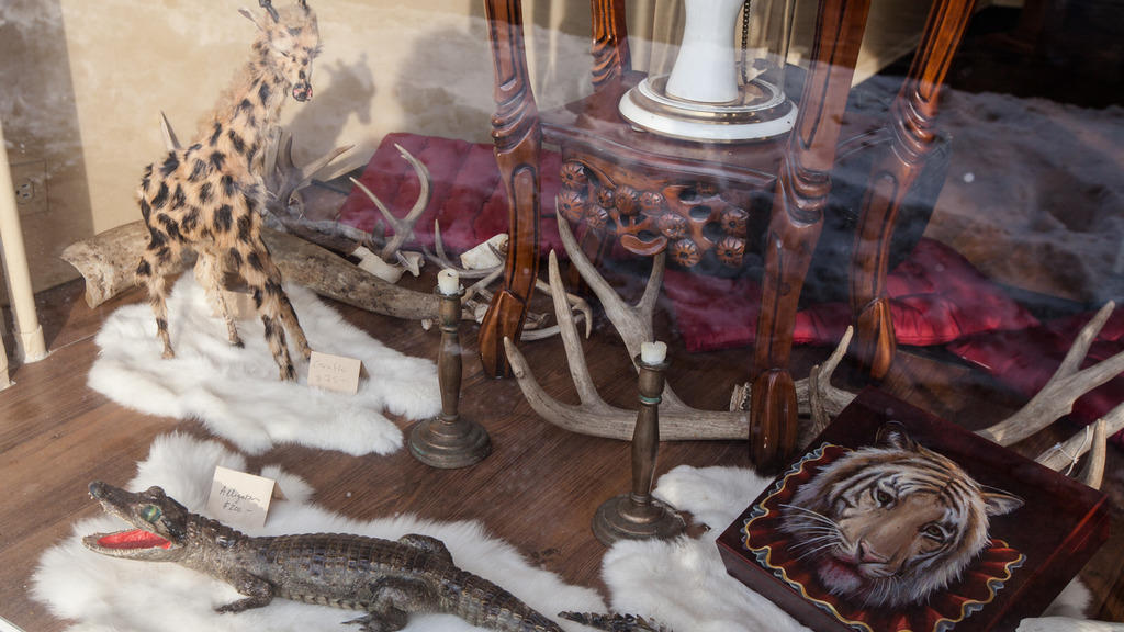 Sideshow Gallery | Shopping in Bucktown, Chicago