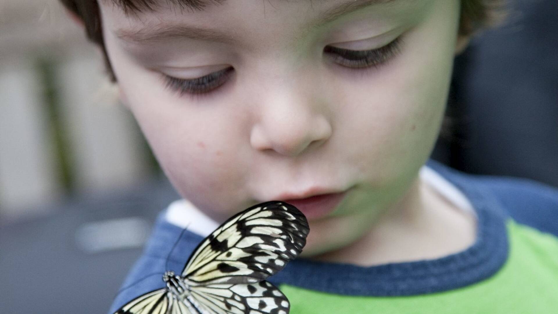 Sensational Butterflies | Things to do in London