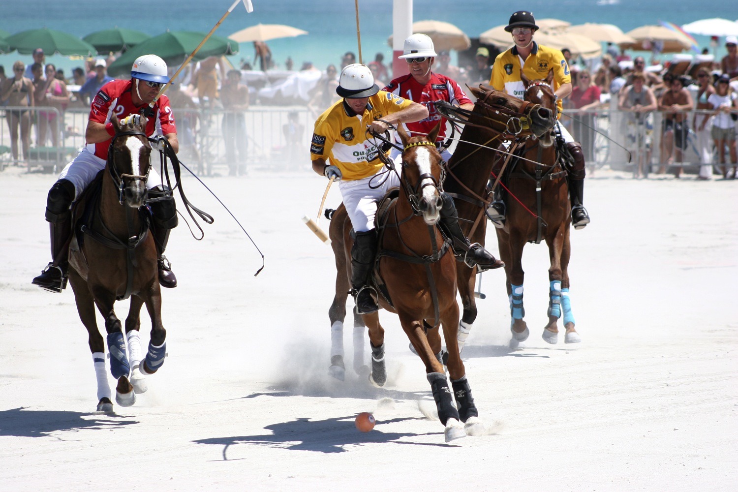 Miami Beach Polo World Cup | Things to do in South Beach, Miami