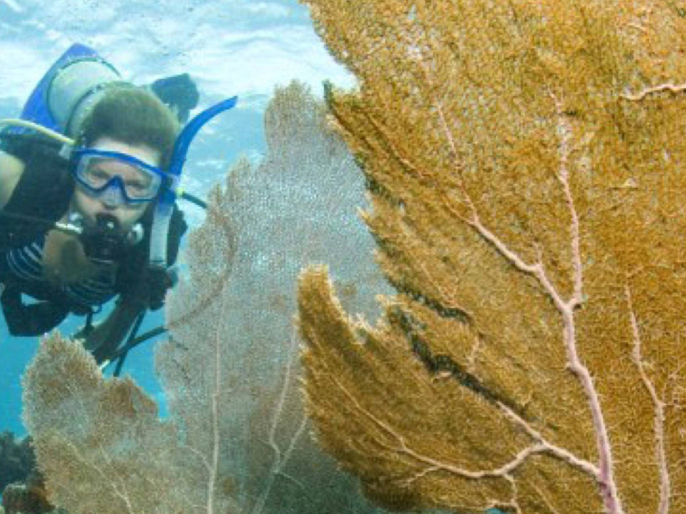 17 Best Parks in Miami for Fresh Air and Outdoor Fun