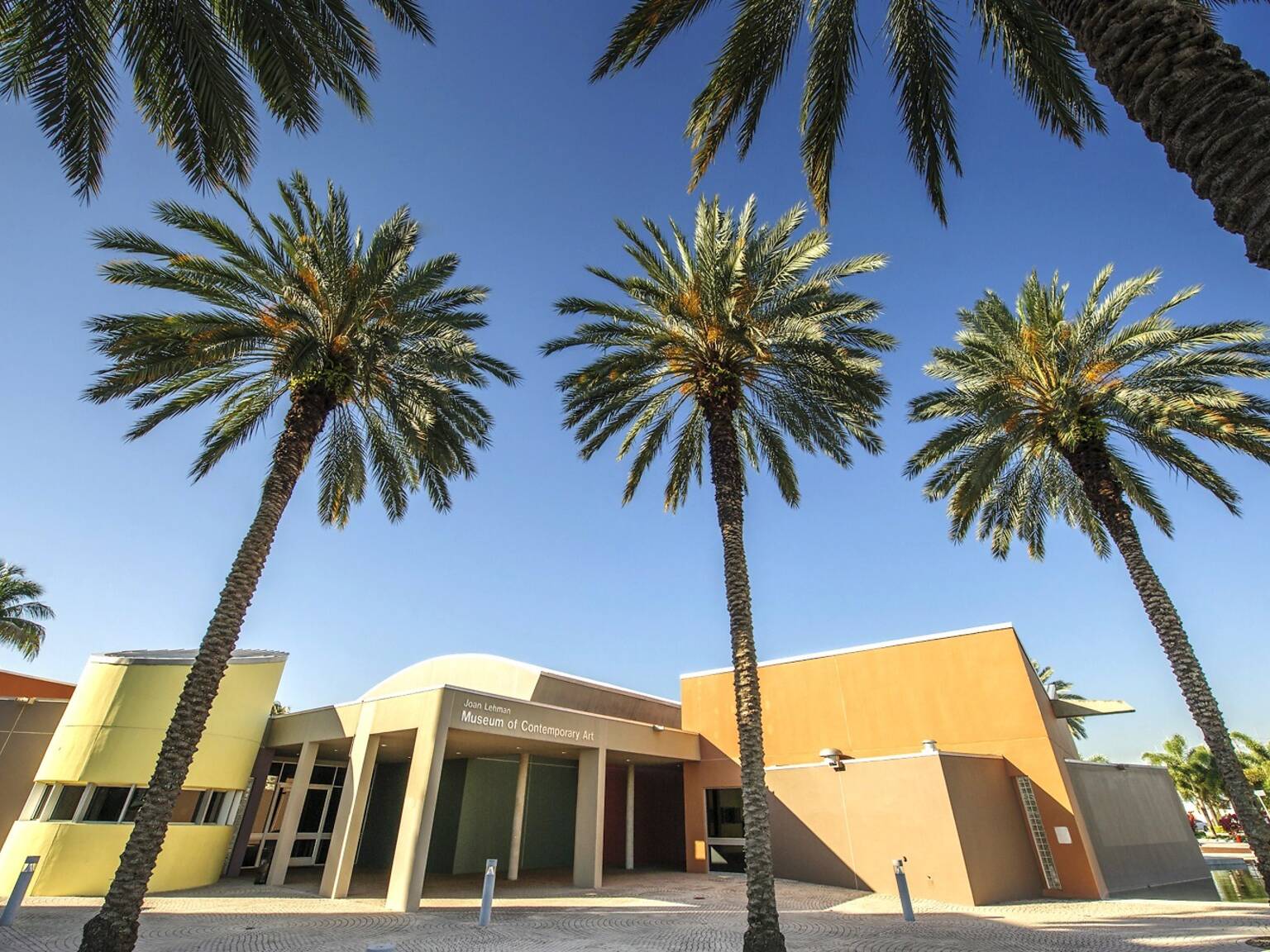 17 Best Museums in Miami for World-Class Art Exhibitions