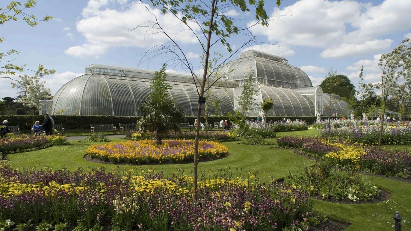 Plantasia | Things to do in London