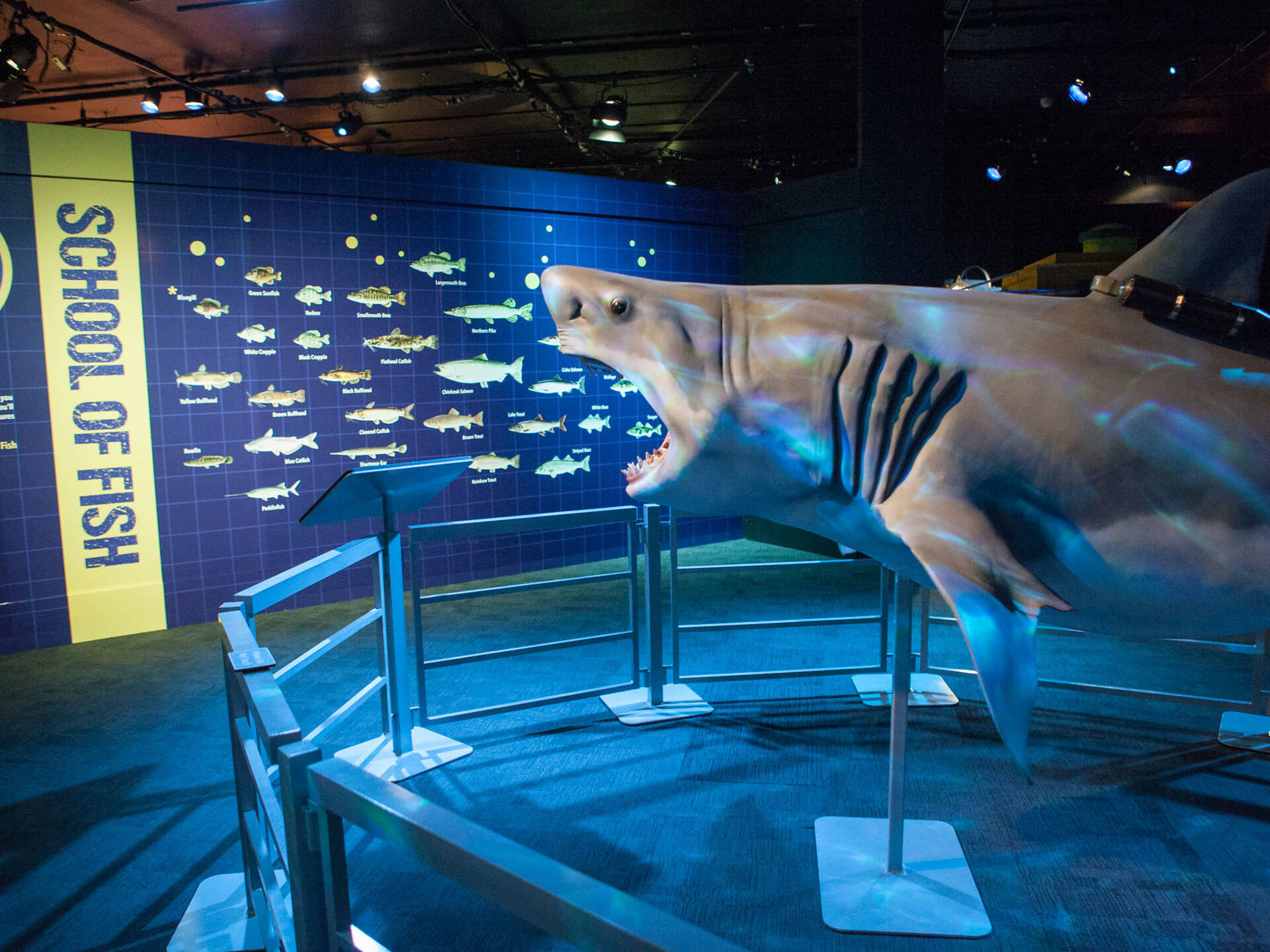 “National Geographic Presents: Earth Explorers” at the Museum of ...