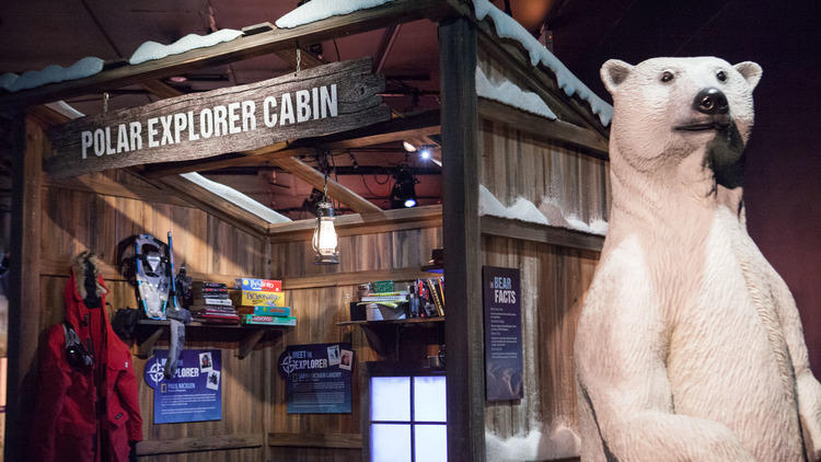 “National Geographic Presents: Earth Explorers” at the Museum of ...