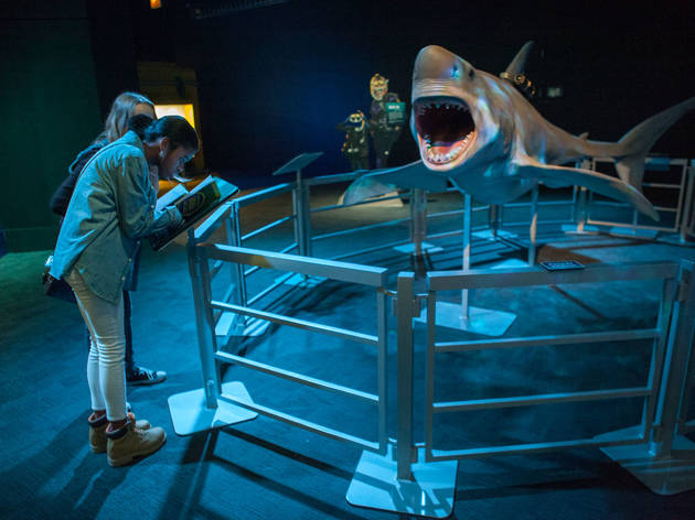 “National Geographic Presents: Earth Explorers” at the Museum of ...