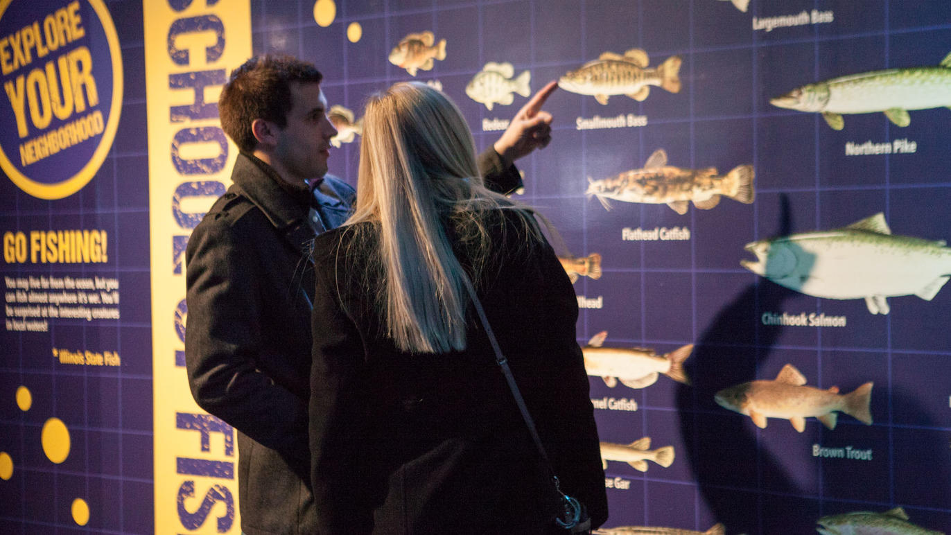 “National Geographic Presents: Earth Explorers” at the Museum of ...