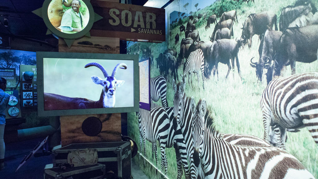 “National Geographic Presents: Earth Explorers” at the Museum of ...