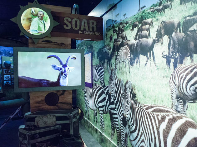 “National Geographic Presents: Earth Explorers” at the Museum of ...