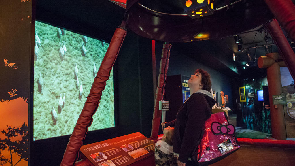 “National Geographic Presents: Earth Explorers” at the Museum of ...