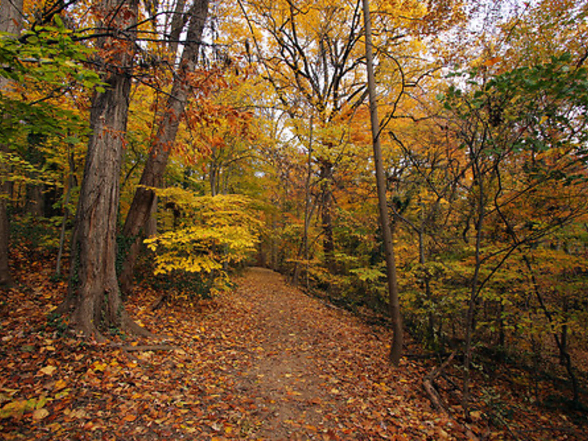 Best Washington, DC attractions for locals and tourists