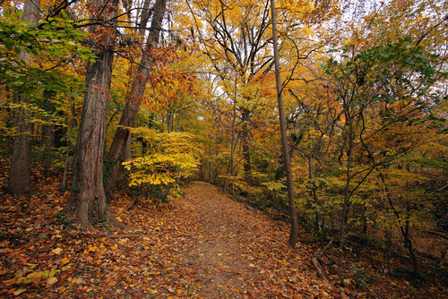 Rock Creek Nature Center & Planetarium | Attractions in Northwest ...
