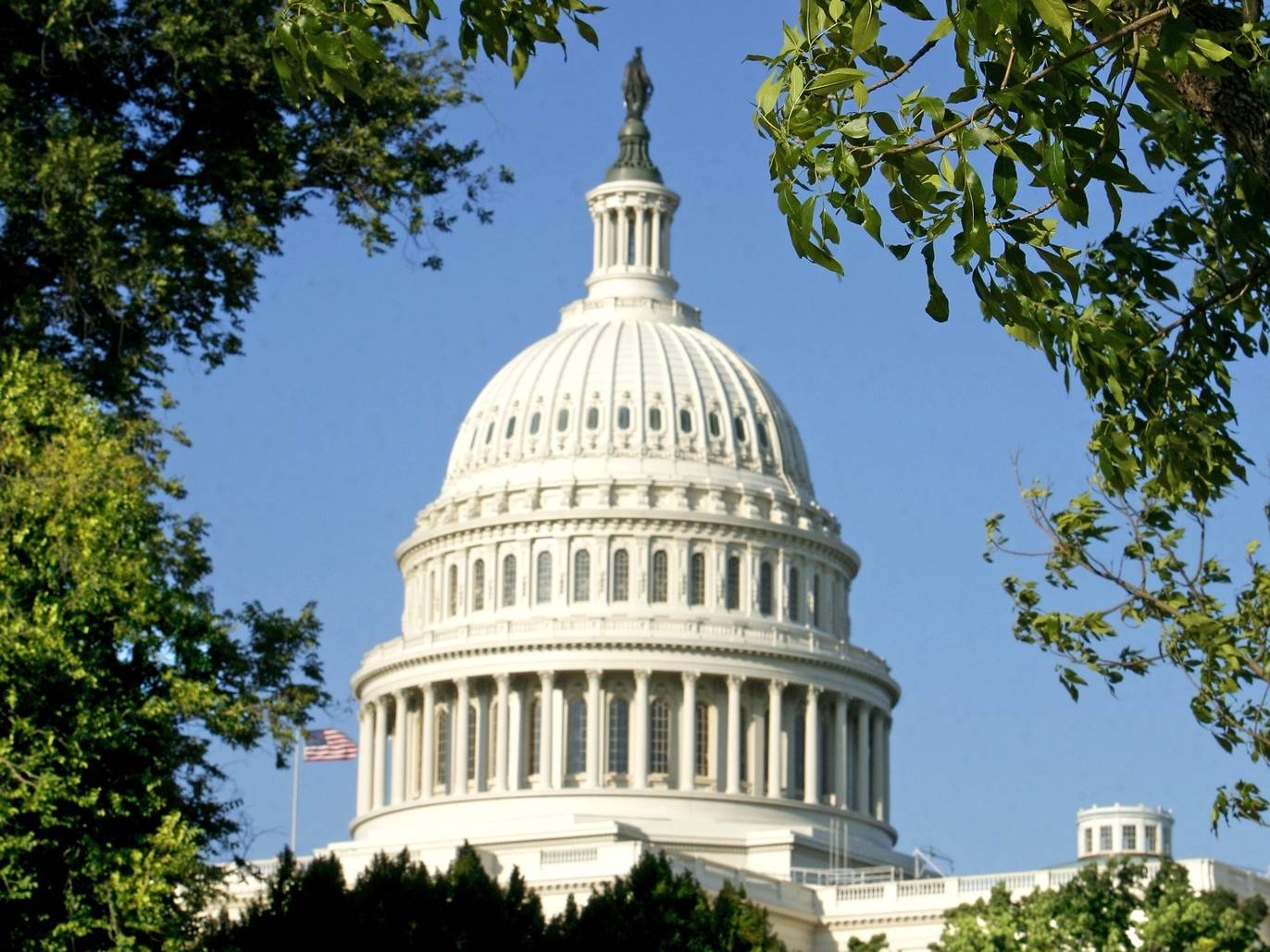 Things to do in and around Washington DC | Time Out Washington DC