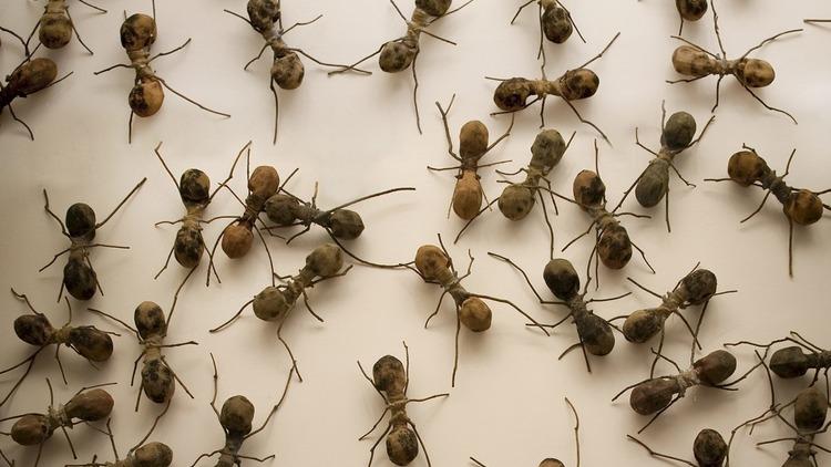 Pangaea: New Art from Africa and Latin America at Saatchi Gallery