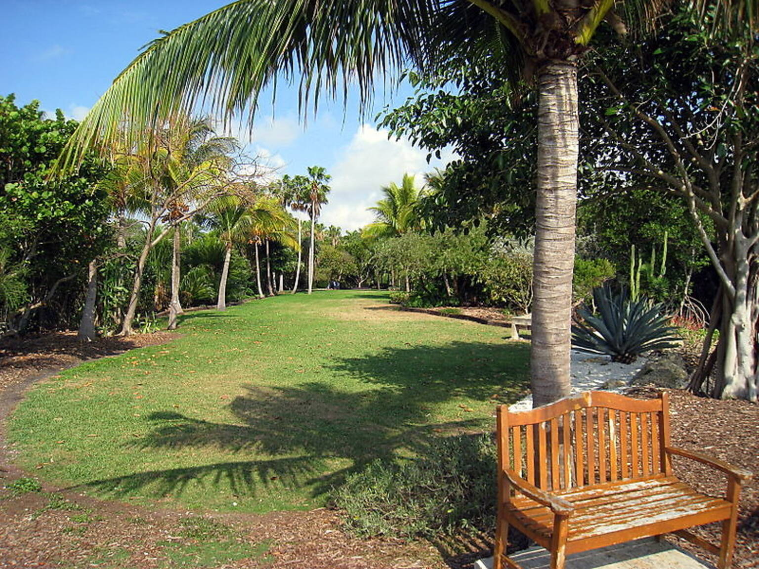 17 Best Things to Do in Coconut Grove Right Now