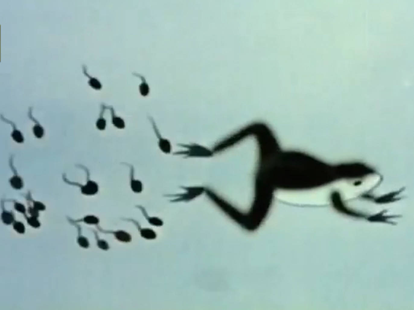 30 Best Animated Short Films Ever Made – Time Out Film