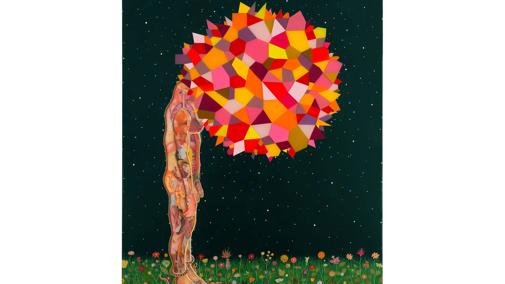 Fred Tomaselli interview: 'As a collagist, I’m basically a collectivist ...