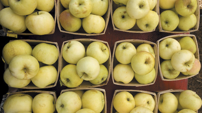 Prairie Sky Orchard | Things to do in Chicago