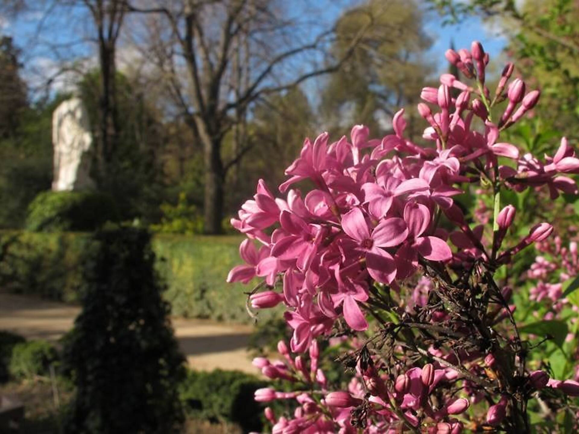 23 beautiful Madrid parks and gardens